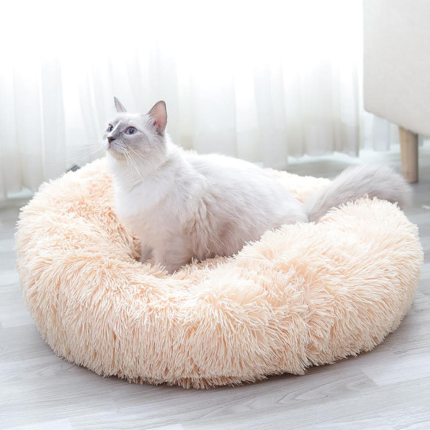 카카오톡 선물하기