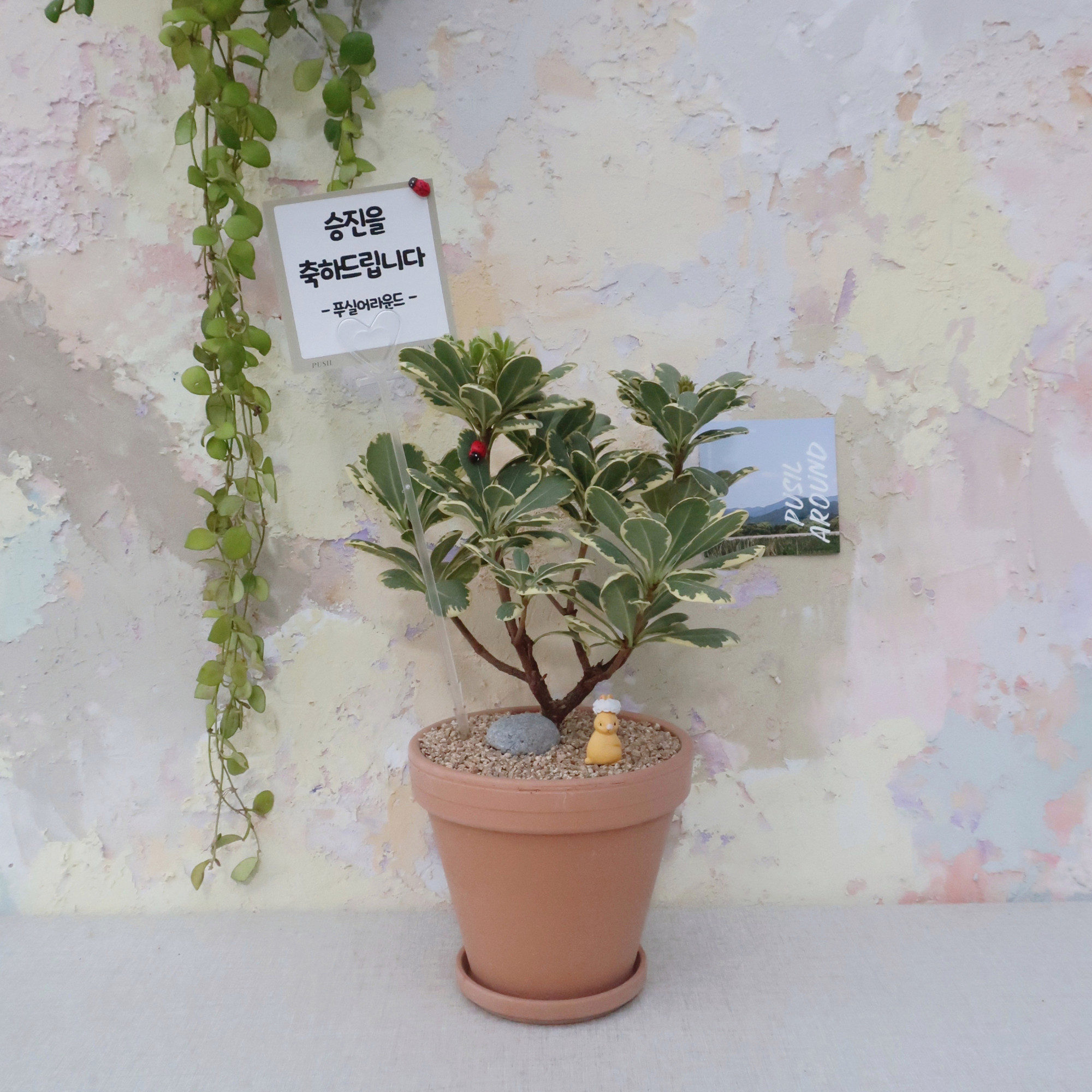 카카오톡 선물하기