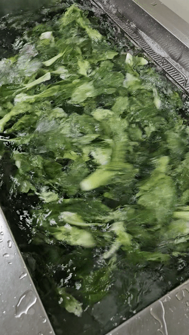 [프로즌] 원팩 마라탕 1+1 (450g+450g) | 톡딜