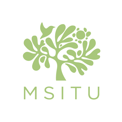 MSITU | 톡딜