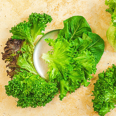 유러피안 샐러드 채소 3-4종 1kg GAP인증 | 톡딜