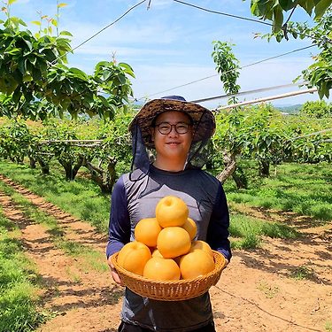 나주배 가정용 3kg(4-8과) 외 5kg GAP인증 외 나주배 선물세트 산지직송 무료배송 | 톡딜