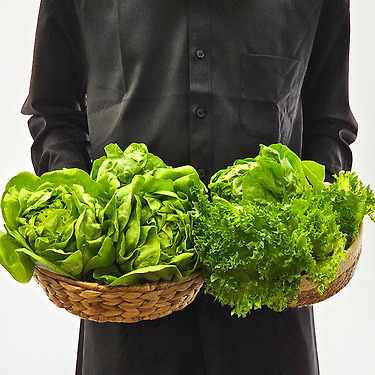 GAP인증 유러피안 샐러드 모듬 채소 1kg (3종이상 랜덤발송) | 톡딜