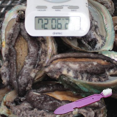 [우체국쇼핑] 전복이장 완도전복 대 1kg(10~12마리), 손질칼 증정 | 톡딜