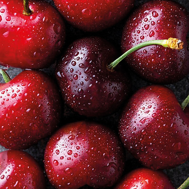 칠레 생 체리 500g (9.5R) | 톡딜