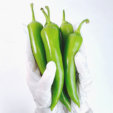 GAP인증 신품종 정읍 당조고추 1kg/2kg | 톡딜