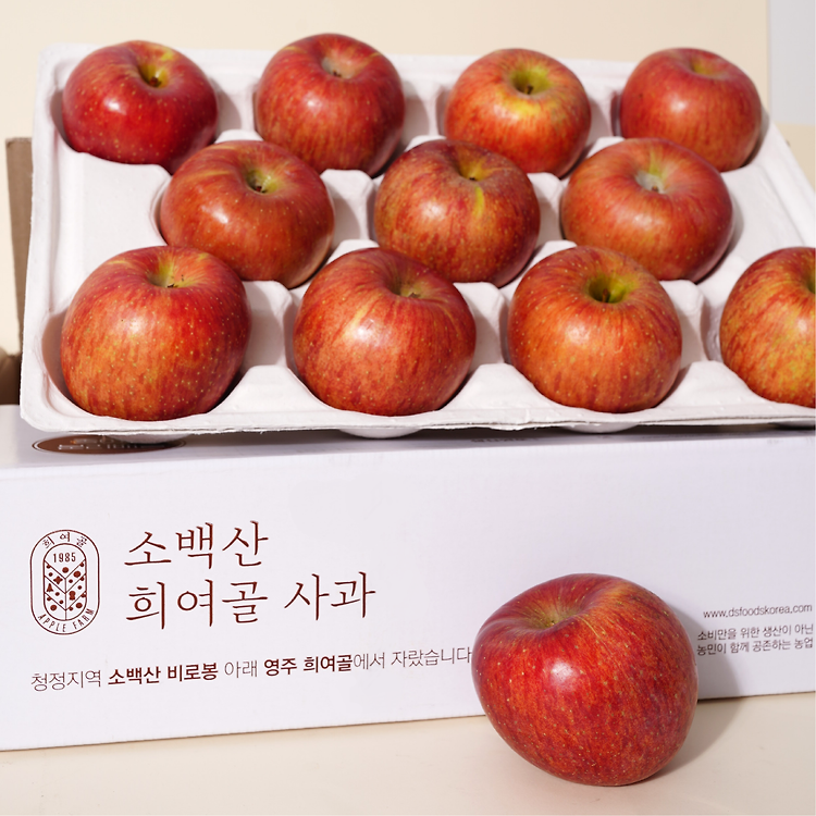 카카오톡 쇼핑하기